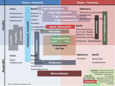 Health Steps 24 7 On Twitter Rt Imedverse Bacteria And Antibiotics Coverage Table