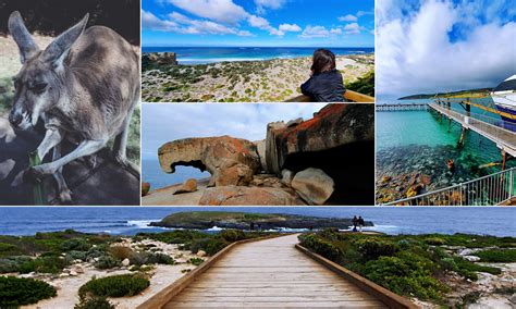 Your Ultimate Guide To Kangaroo Island Jyzxlk