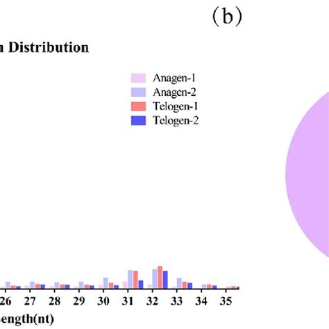 sequence length distribution and differential mirnas analysis a