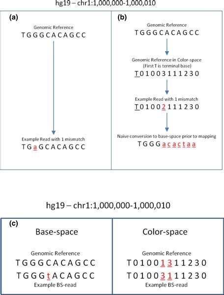 Interpreting Mismatches Between Reads In Base And Color Space Ab