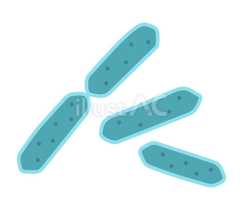 Free Vectors Clostridium Perfringens
