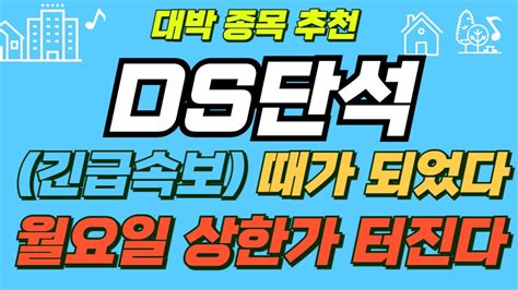 Ds단석 긴급속보 때가 되었다 월요일 상한가 터진다 Ds단석주가 Ds단석주가전망 Ds단석전망 Youtube