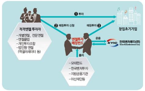 벤처·스타트업 활성화 위해선엔젤투자 지원 확대·왜곡된 기술평가 개선해야 2023 국감 미리보기 Vc 한국금융신문