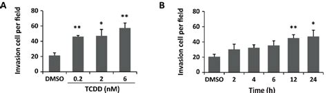 Tcdd Induced Gene Expression During Cell Invasion And Vascularization