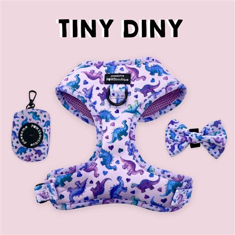 Tiny Diny Pawsome Paws Boutique