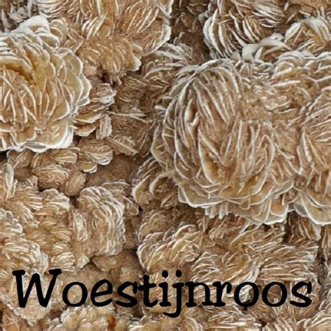 Woestijnroos 2 Mensensamenleving Me