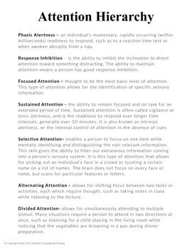 Attention Hierarchy By BOT Portal Resources For Occupational Therapy