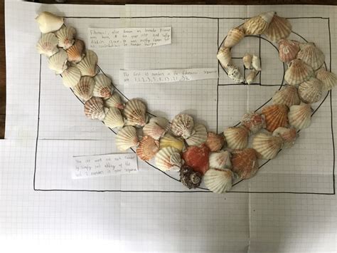 Fibonacci Spirals Abingdon Prep Babe