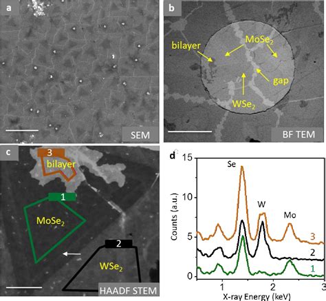 Pdf Lateral Heterojunctions Within Monolayer Semiconductors Semantic Scholar