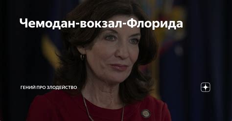 Чемодан вокзал Флорида Гений про злодейства Дзен