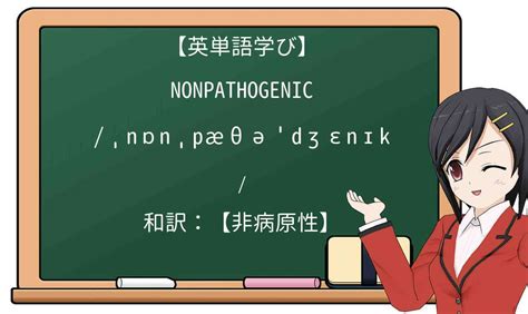 【英単語】nonpathogenicを徹底解説！意味、使い方、例文、読み方 おもしろい英文法