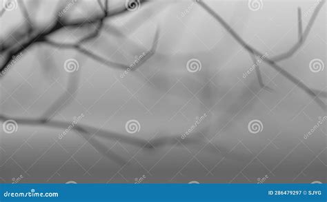 Light And Shadow In The Room Trees And Branches Gobo Light Gray And