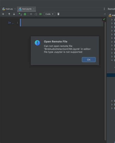 Pycharm 20201 Professional Edition Cannot Open Remote Ipynb File