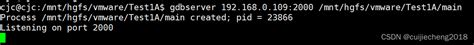 Vscode Gdb Gdbserver远程调试c程序vscode Gdbserver Csdn博客