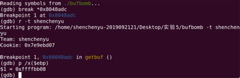 【计算机系统】缓冲区溢出攻击实验 Csdn博客