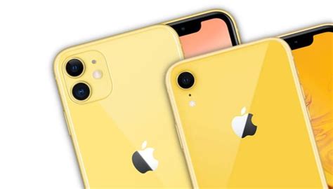 Сравнение iPhone 11 и iPhone XR. Чем отличаются и что лучше купить в ...
