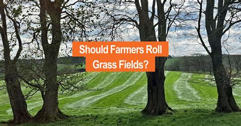 Why Do Farmers Roll Their Grass Fields Benefits Of Field Rolling