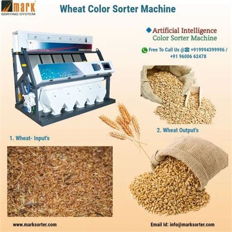 Wheat Color Sorter Machine Wheat Sorting Machine Grains Sorting Grain Color Sorter At