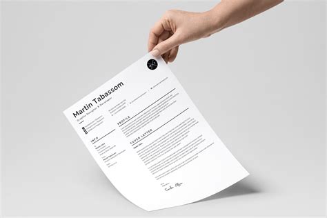 Classic Cv Design Templates Graphic Templates