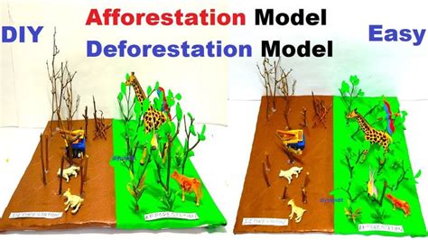 Afforestation And Deforestation Model Science Exhibition Diy Step