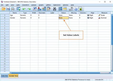 Display Value Labels In SPSS Easy SPSS Tutorial