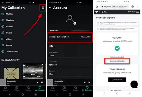 Tidal Family Plan Everything You Should Know AudBite