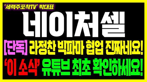 네이처셀 초거대세력 12월 추가 매집 플랜 공개 충격적 매수 이유 공개네이처셀행 네이처셀 주가전망 Fda Rmat 첨단재생의료치료제 줄기세포 라정찬