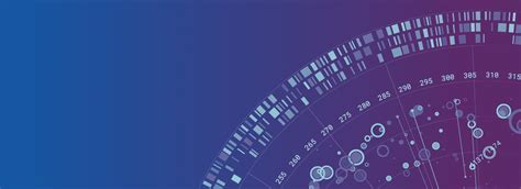 Predictum Wafer Map Add In For Jmp Predictum Inc