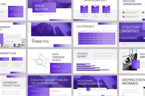 Executive Summary Pitch Incl Executive And Deck Envato