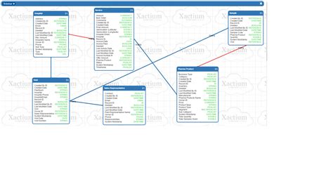 Salesforce Application Architect Designing Data Model