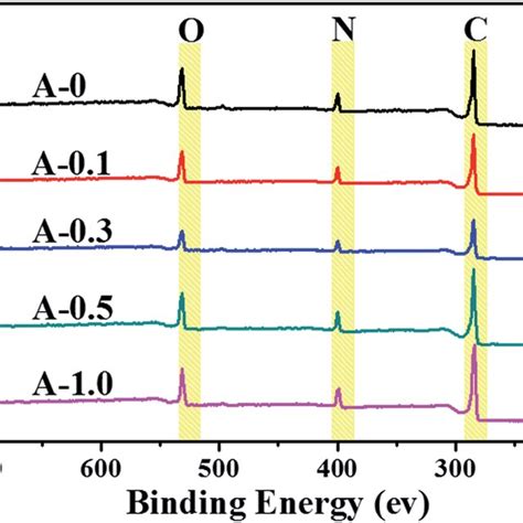 Morphologies Of The Polyamide Tfc Membranes A Top Surface Sem