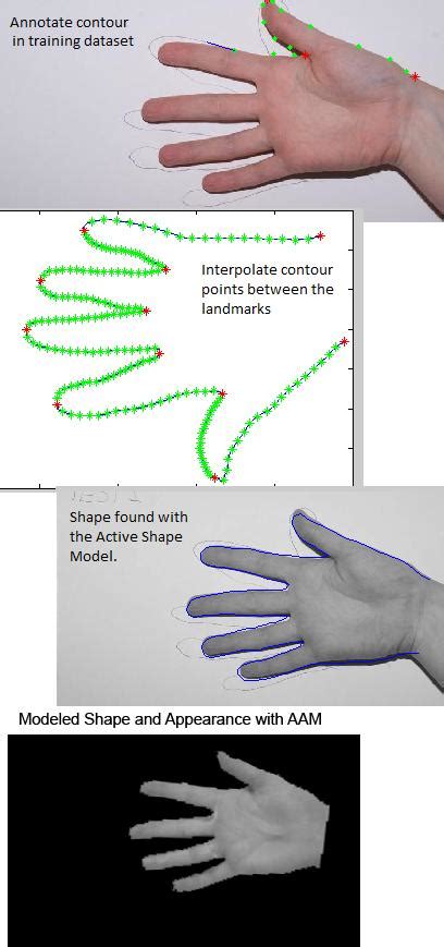 Hand Shape Appearance Model 4 Download Scientific Diagram