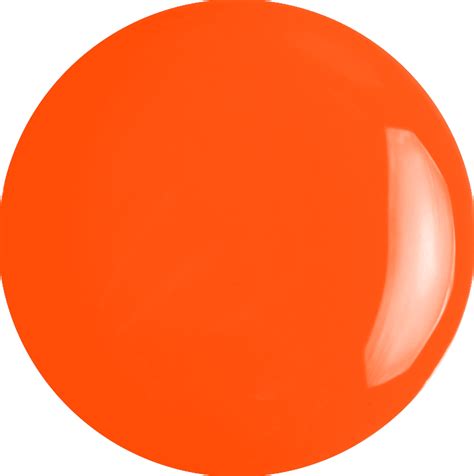 Double Surf Ski Sonic