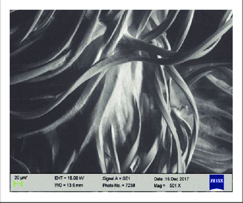 Scanning Electron Microscope Image Of 100 Polyester Treated Fibers