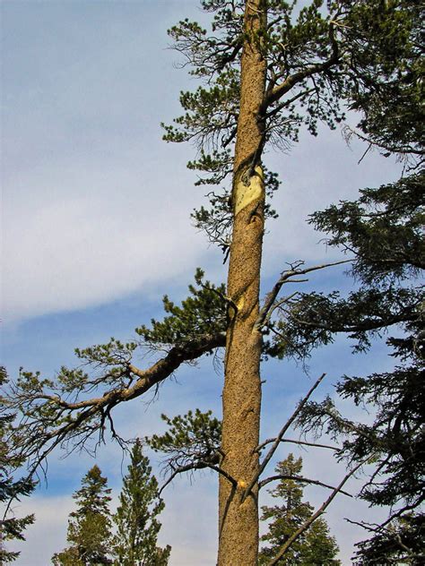 Hypertonic What When Sex Hurts There Is HopeWhen Sex Hurts There Is Hope