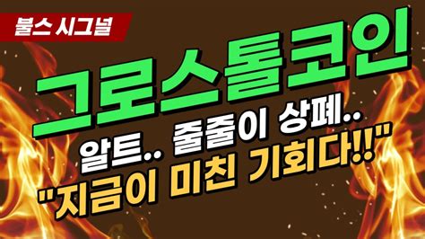 그로스톨코인 알트 줄줄이 상폐 지금이 미친 기회다 그로스톨코인그로스톨코인전망그로스톨코인매수가그로스톨코인