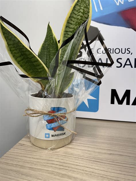 Mohamad Al Harasis On Linkedin Curiouseveryday Becausewecare