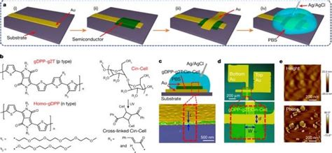 Vertical Organic Electrochemical Transistors For Complementary Circuits