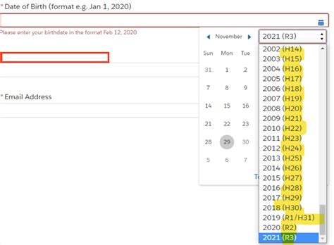 Lightning Web Components Date In Lwc Year Field Shows Extra Values