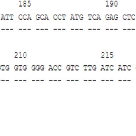 nucleotide sequence alignment exon 4 of hla‐dqa1702 19 compared to