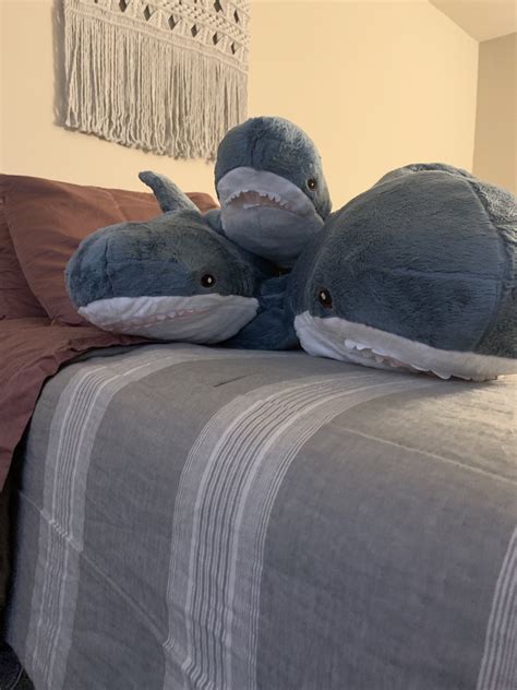 My shonk family : r/BLAHAJ