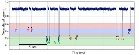 Single Molecule Nanopore Dna S Image Eurekalert Science News Releases