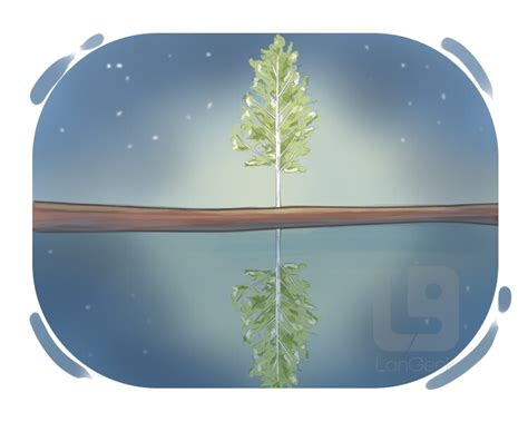 Definition And Meaning Of Reflection Picture Dictionary