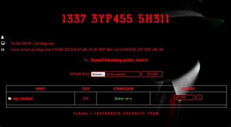 1337 Bypass Shell