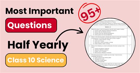 Most Expected Questions For Class 10 Science Half Yearly Exams Cbse