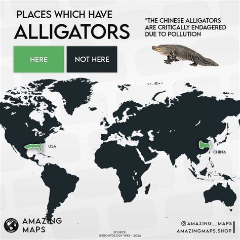 Maps On The Web Home