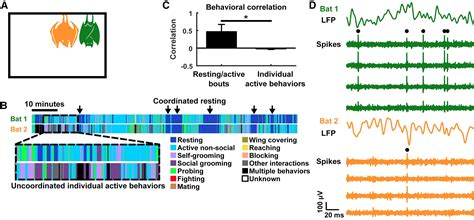 Deeplabcut On Twitter 8 Pupil Tracking In Mice Using Deeplabcut 52ccai4mvh