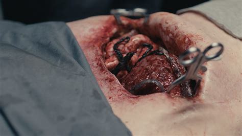 Slideshow Dead Reset Screenshots