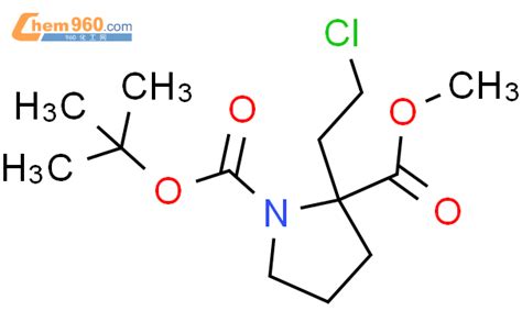 1351956 13 2 1 叔丁基 2 甲基 2 2 氯乙基 吡咯烷 1 2 二羧酸cas号 1351956 13 2 1 叔丁基 2