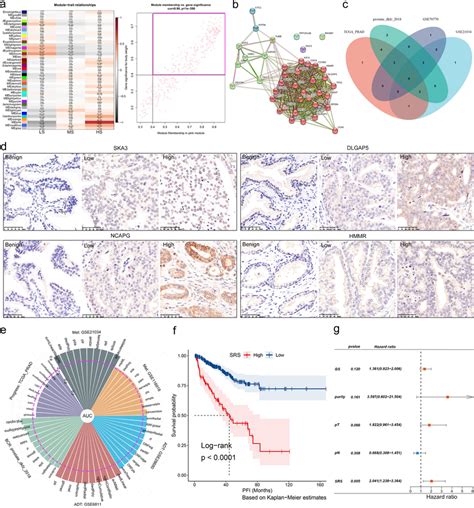 Construction And Validation Of Stemness Subtype Download
